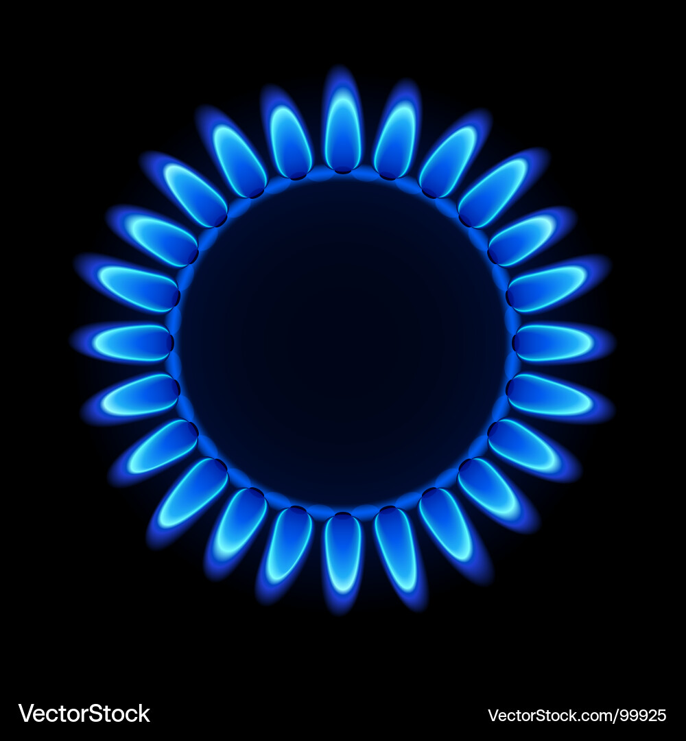 Natural gas flame Royalty Free Vector Image - VectorStock