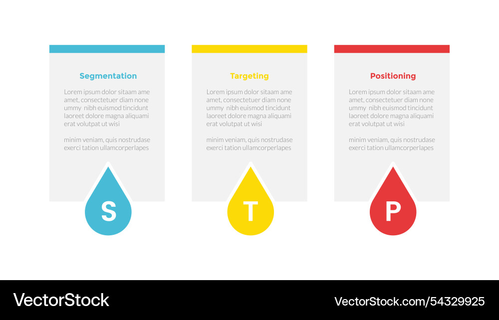 Stp marketing analysis infographics template Vector Image