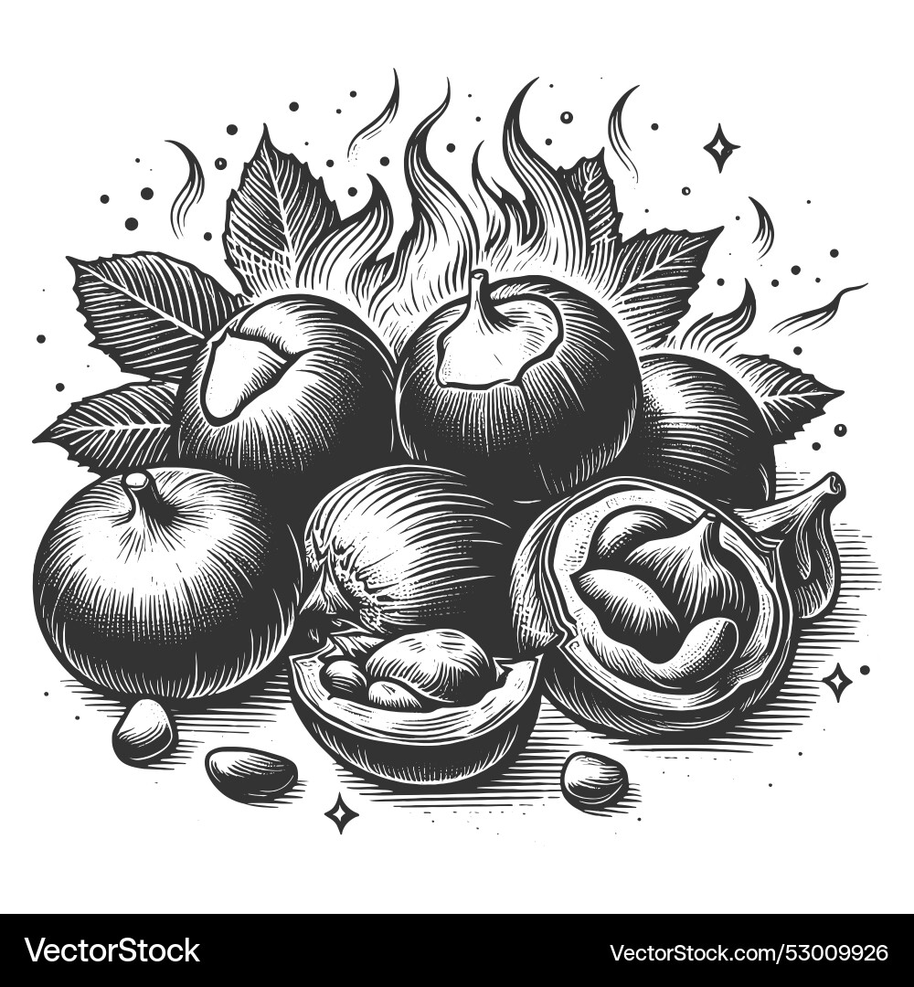 Roasted chestnuts Royalty Free Vector Image - VectorStock