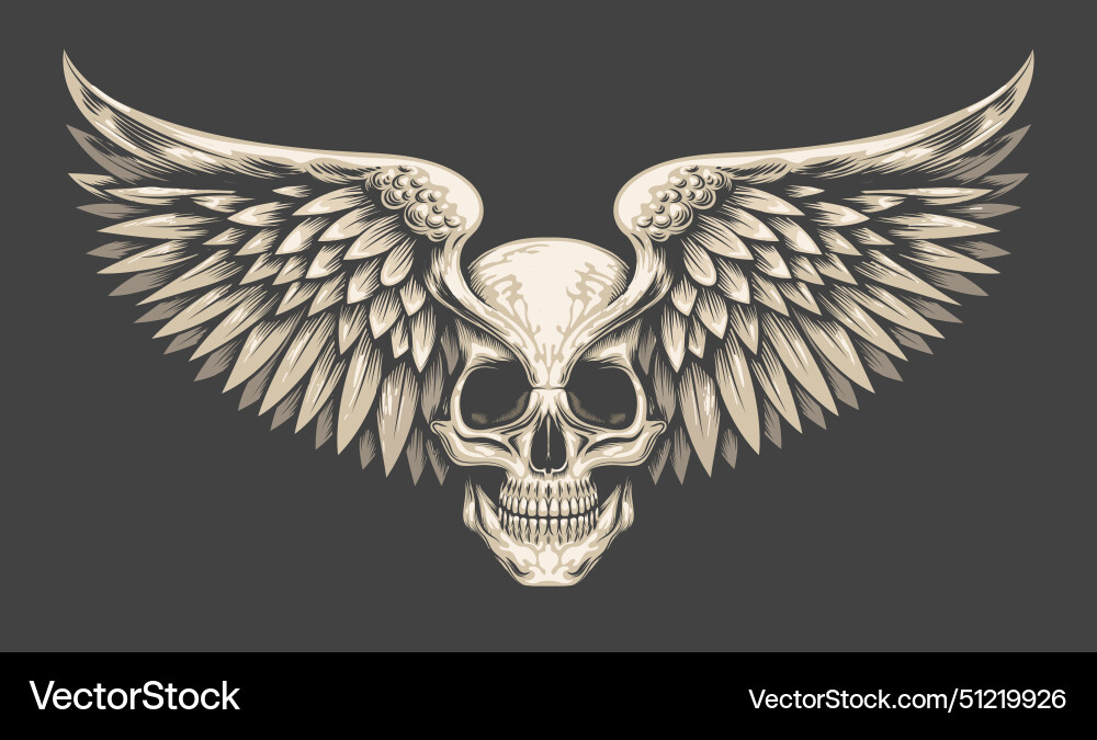 Skull with wings engraved isolated on black Vector Image
