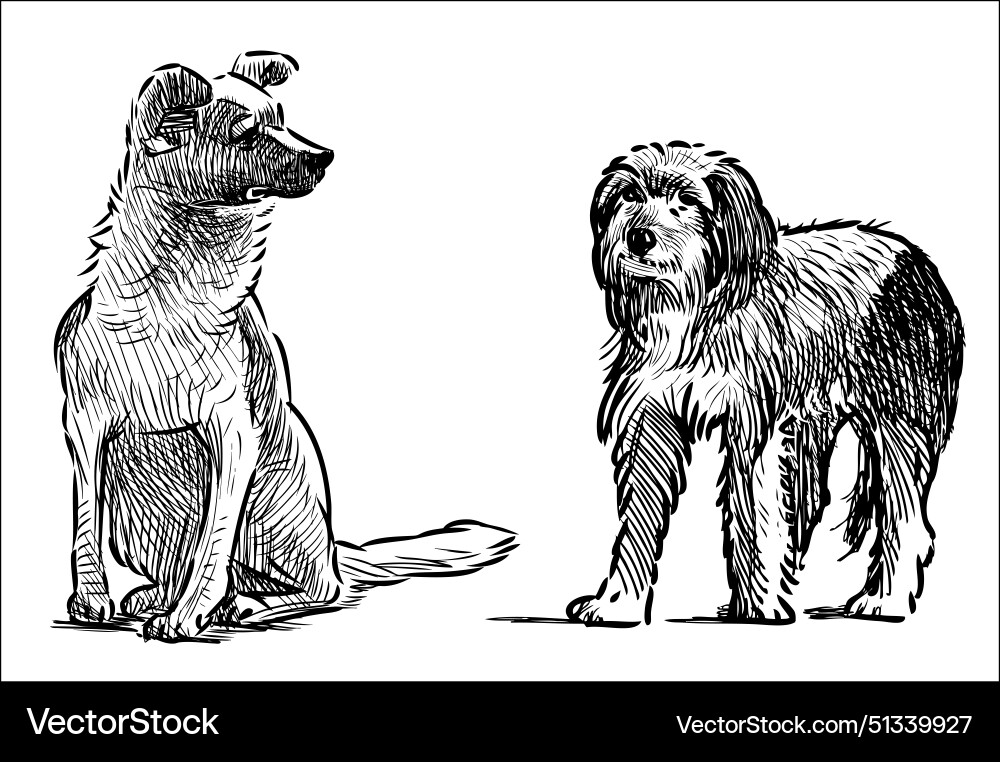 Guard dog two lap dogmongrel petsdomestic Vector Image