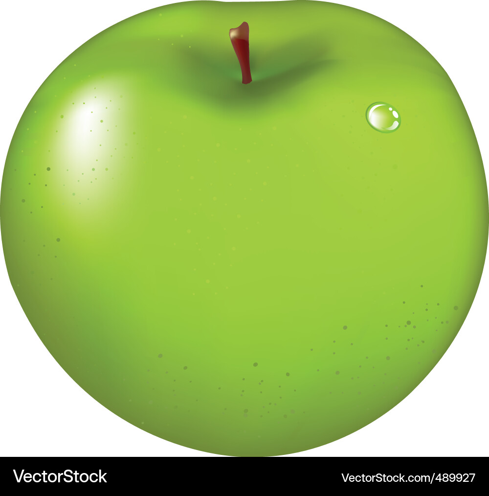 Isolated Green Apple Royalty Free Vector Image