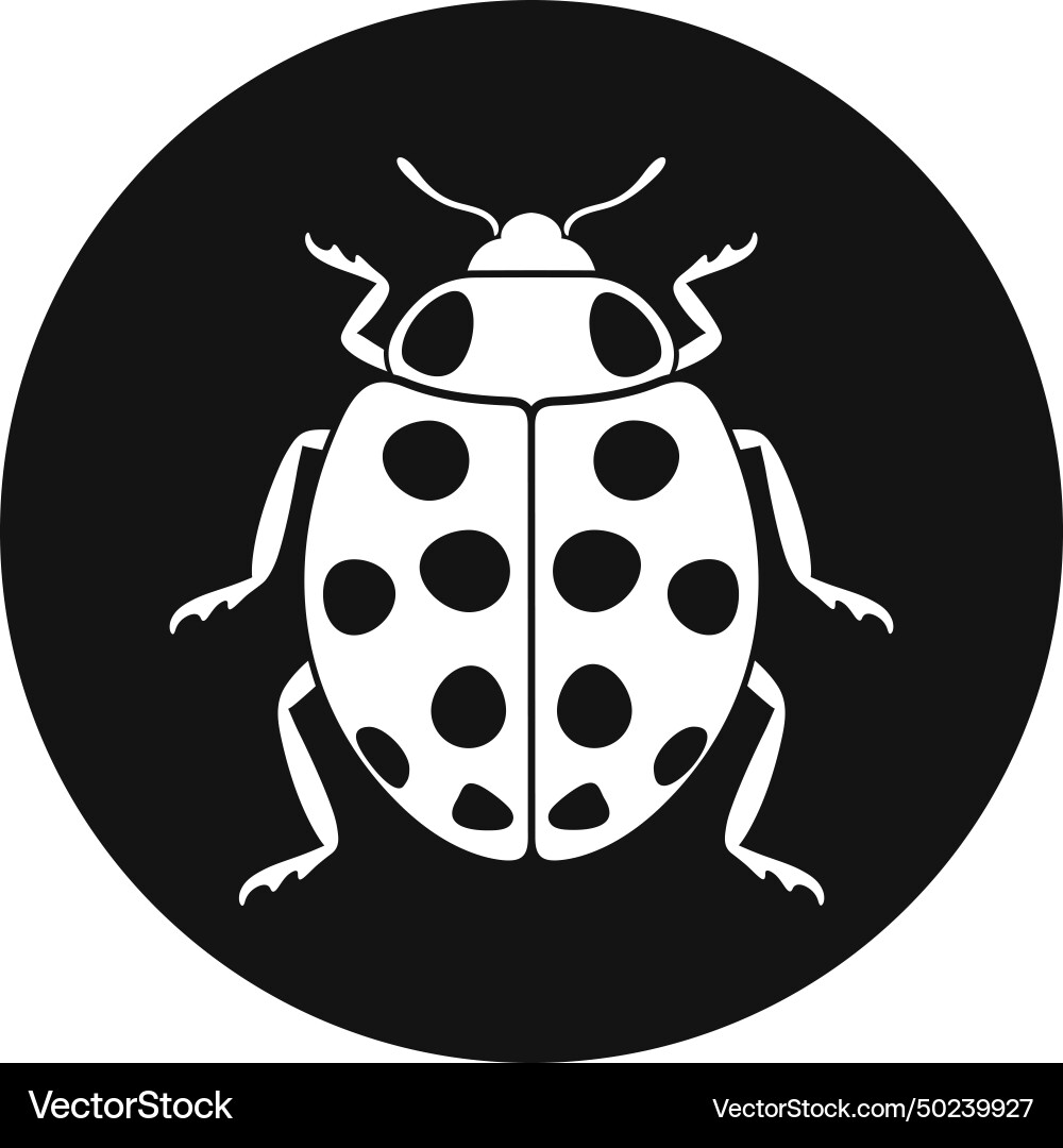 Ladybug Royalty Free Vector Image - VectorStock