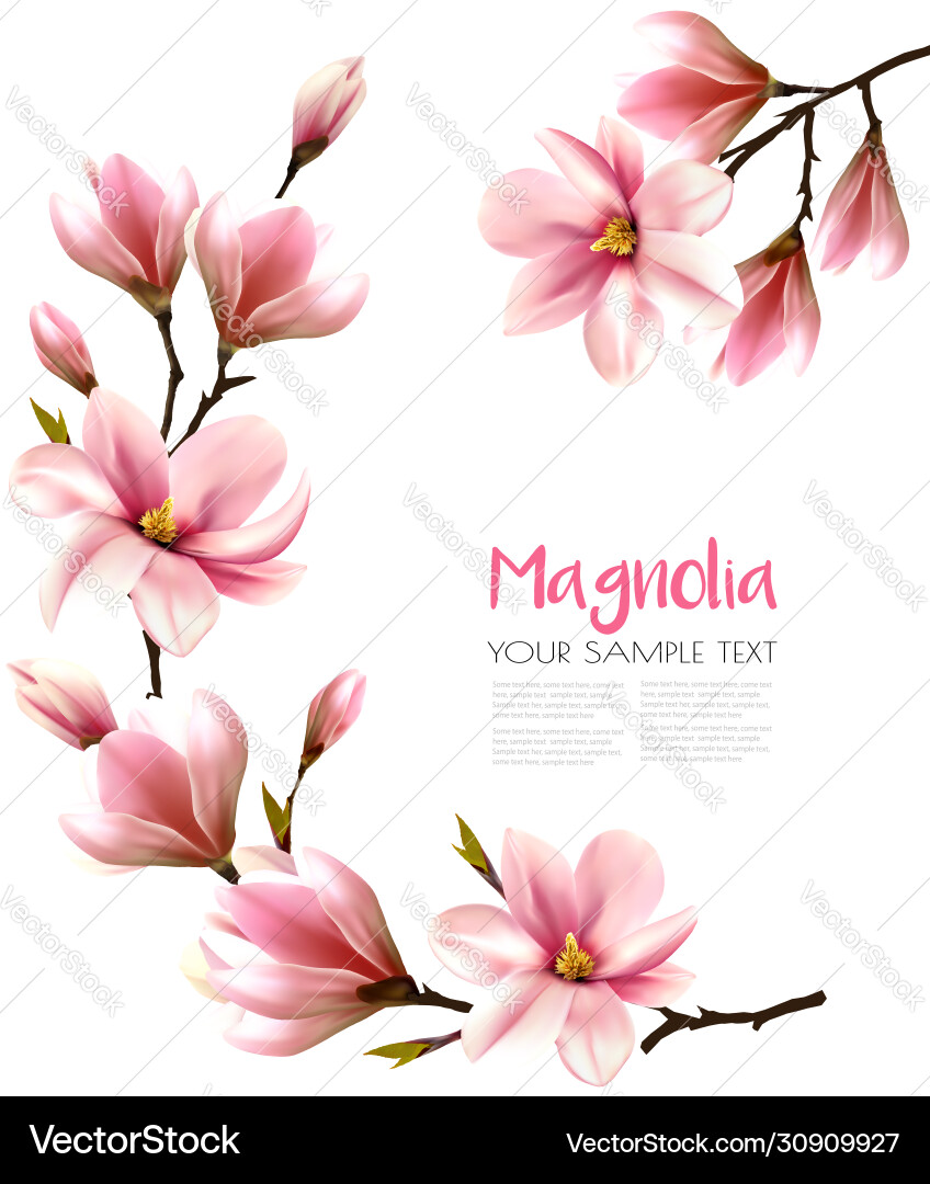 Nature background with beautiful magnolia Vector Image