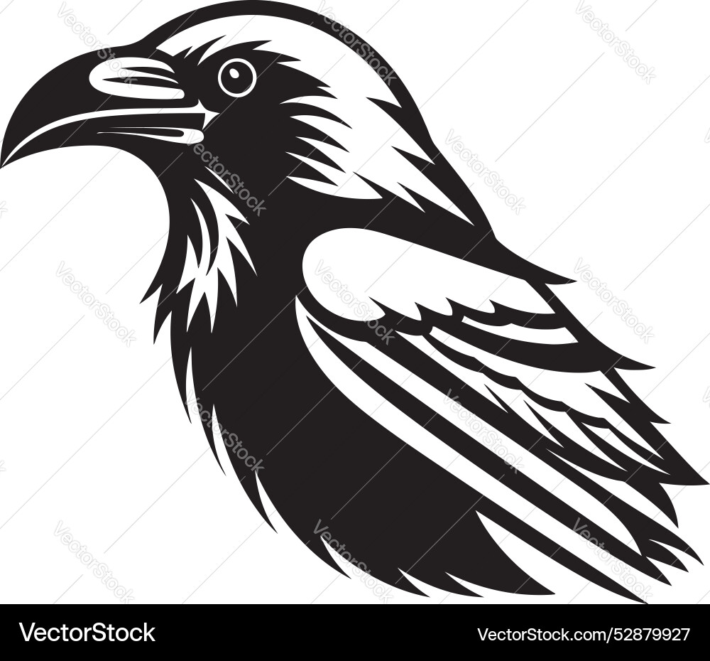 Sleek raven monogram of distinction modern Vector Image