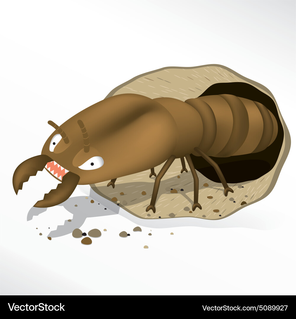 Termite cartoon Royalty Free Vector Image - VectorStock
