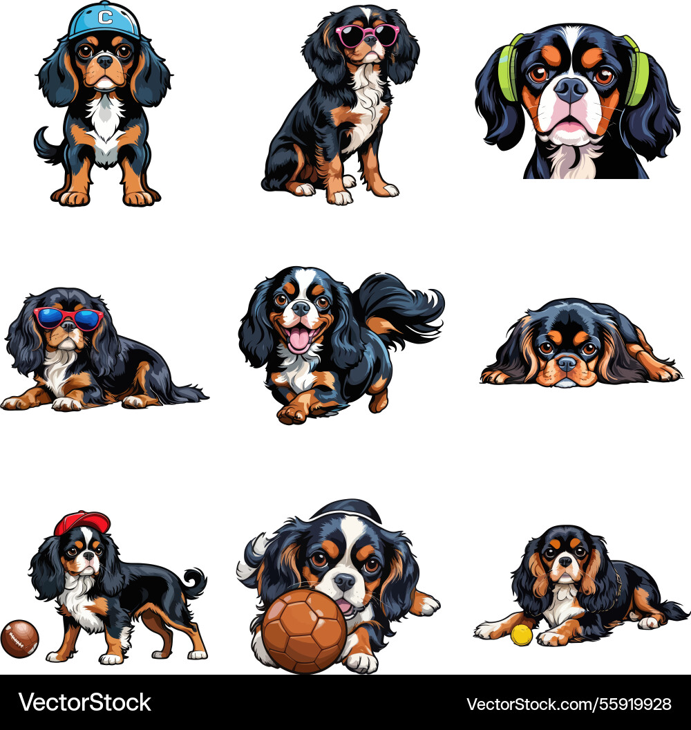 Premium black tan cavalier king charles spaniel Vector Image