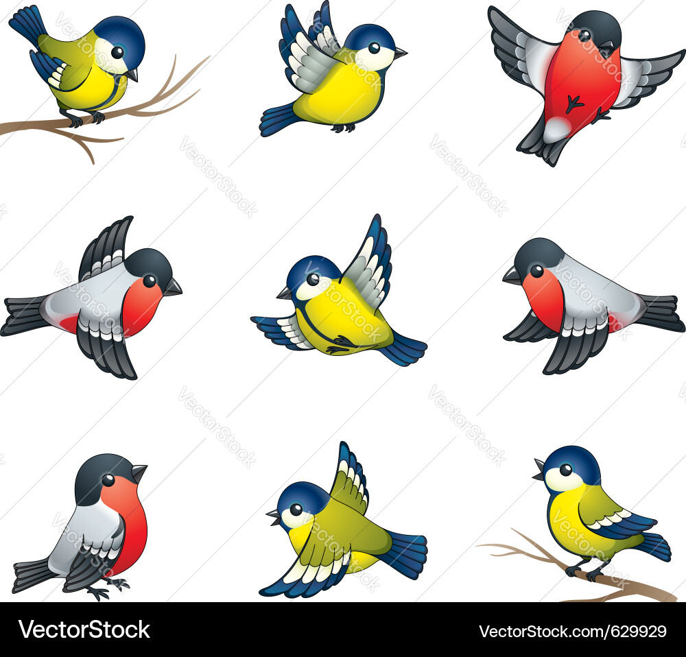 Winter birds Royalty Free Vector Image - VectorStock
