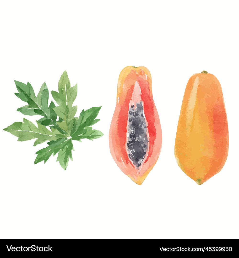 Beautiful stock clip art Royalty Free Vector Image