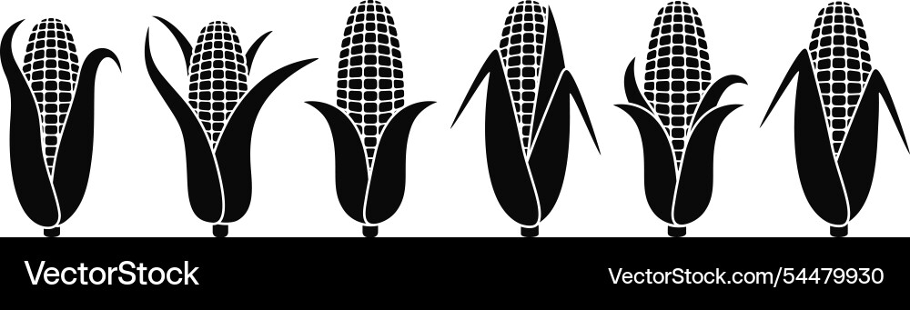 Corn Royalty Free Vector Image - VectorStock