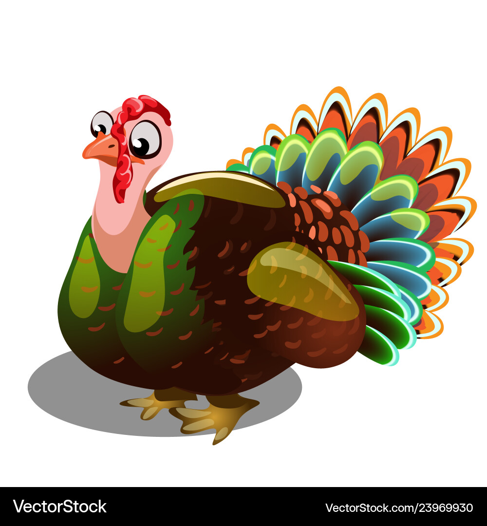 Fat gobbler isolated on white background Vector Image