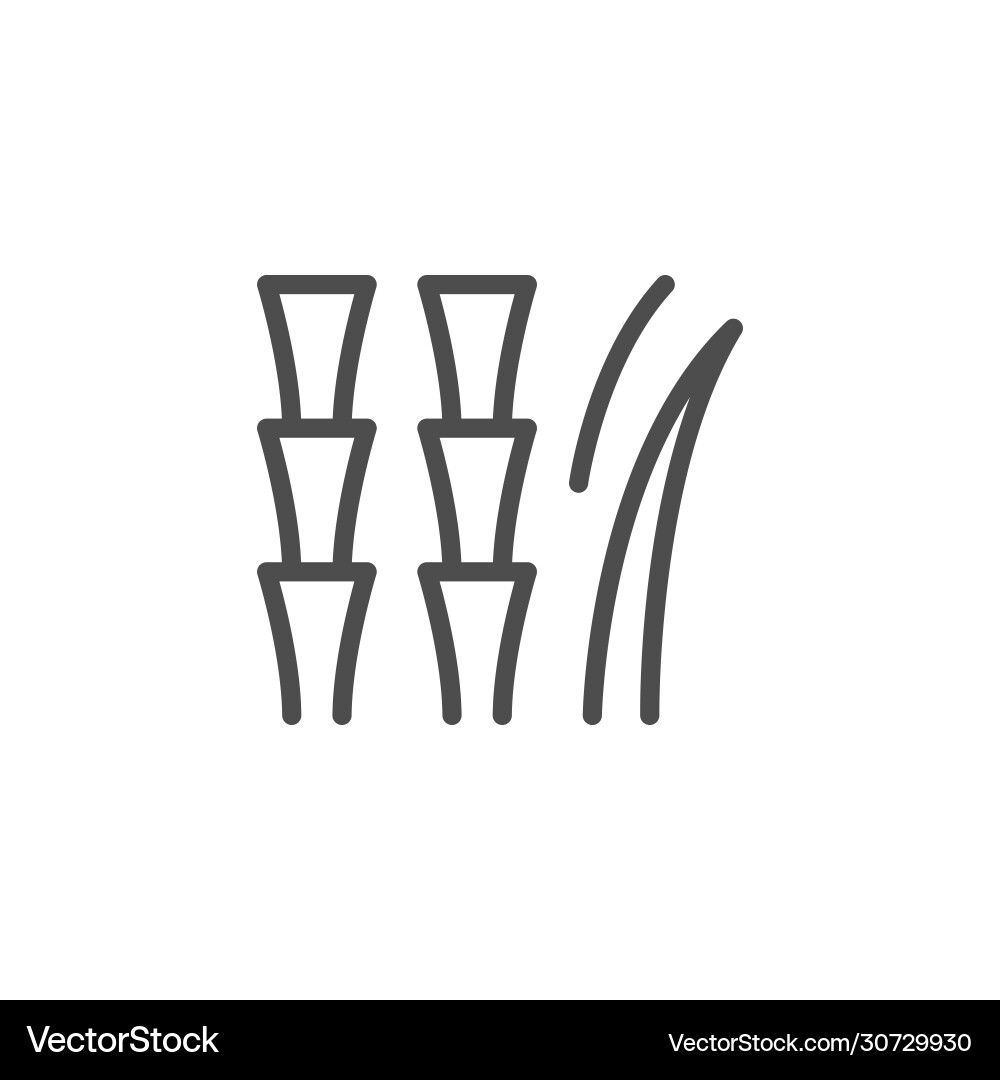 Sugarcane line outline icon and sugar concept Vector Image