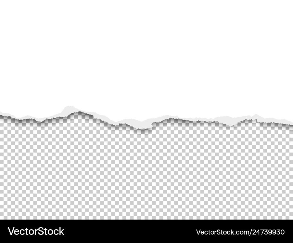 Torn White Paper Mockup - Bottom Edge Royalty Free Vector