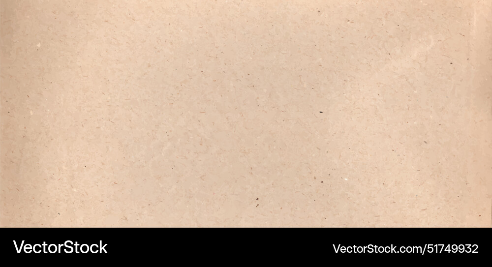 Cardboard paper texture minimalistic grainy Vector Image