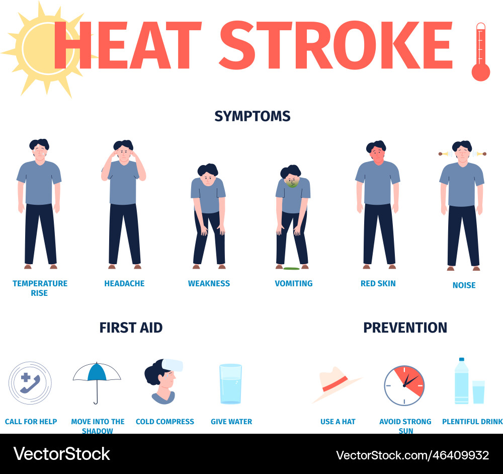 Sommer Hitze Schlaganfall Infografik Symptome Vektorbild