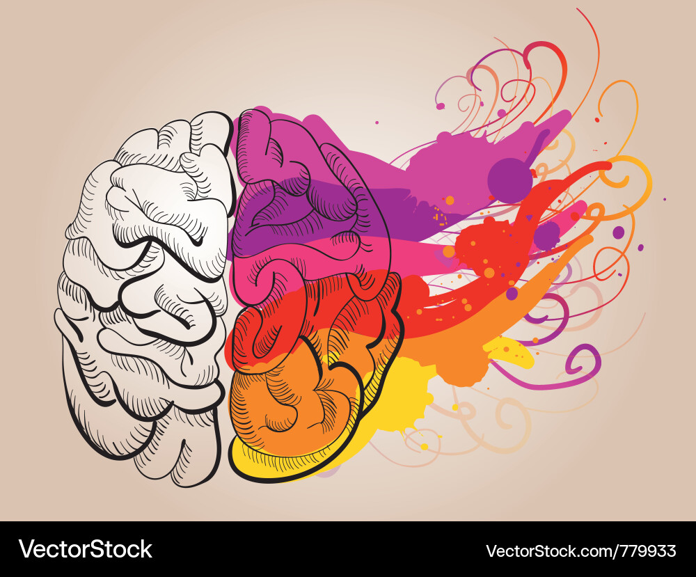 Creativity and brain Royalty Free Vector Image