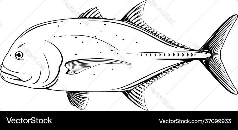 Giant Trevally Fish - Black & White Royalty Free Vector