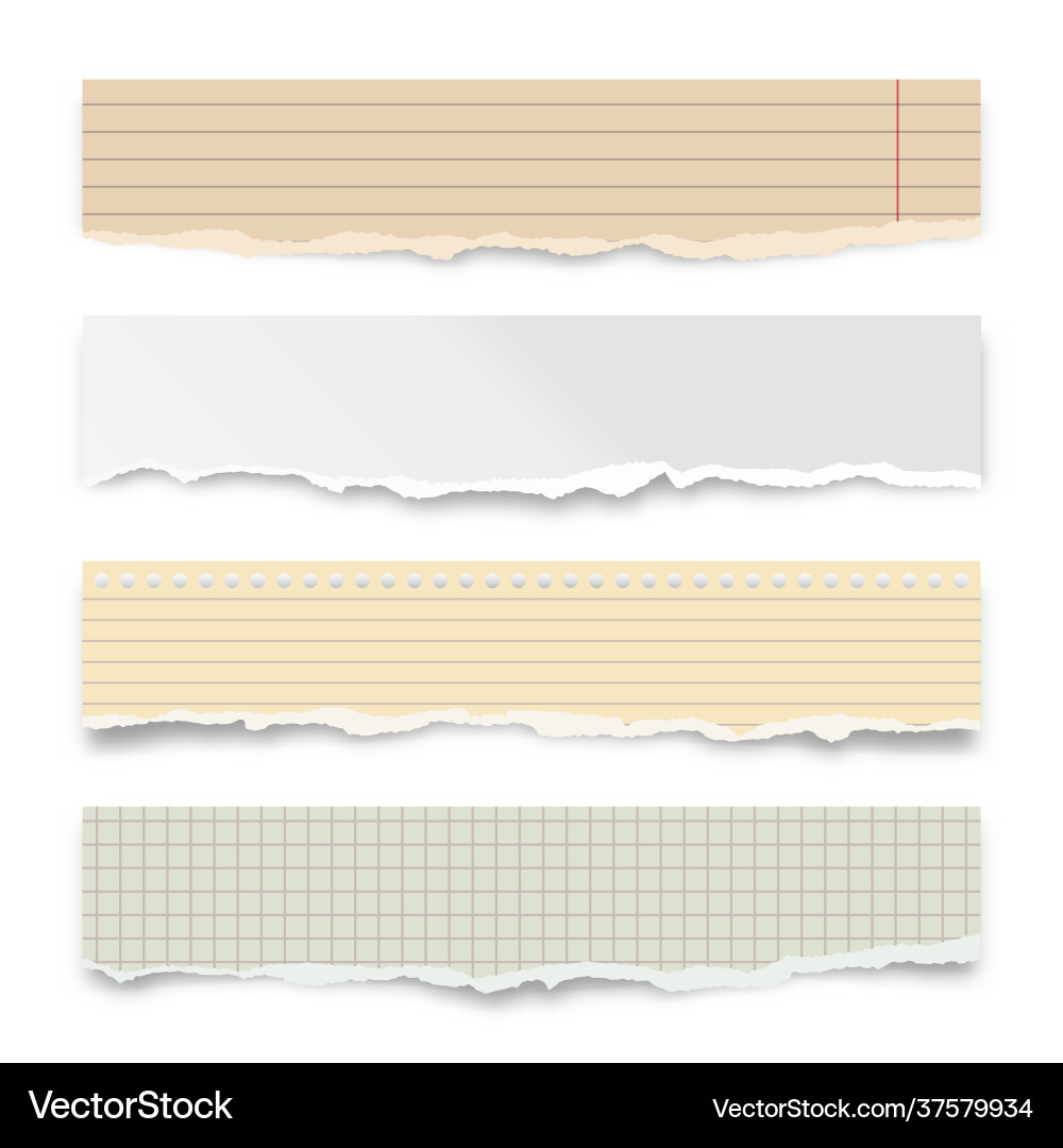 Ripped colorful paper strips isolated on white Vector Image