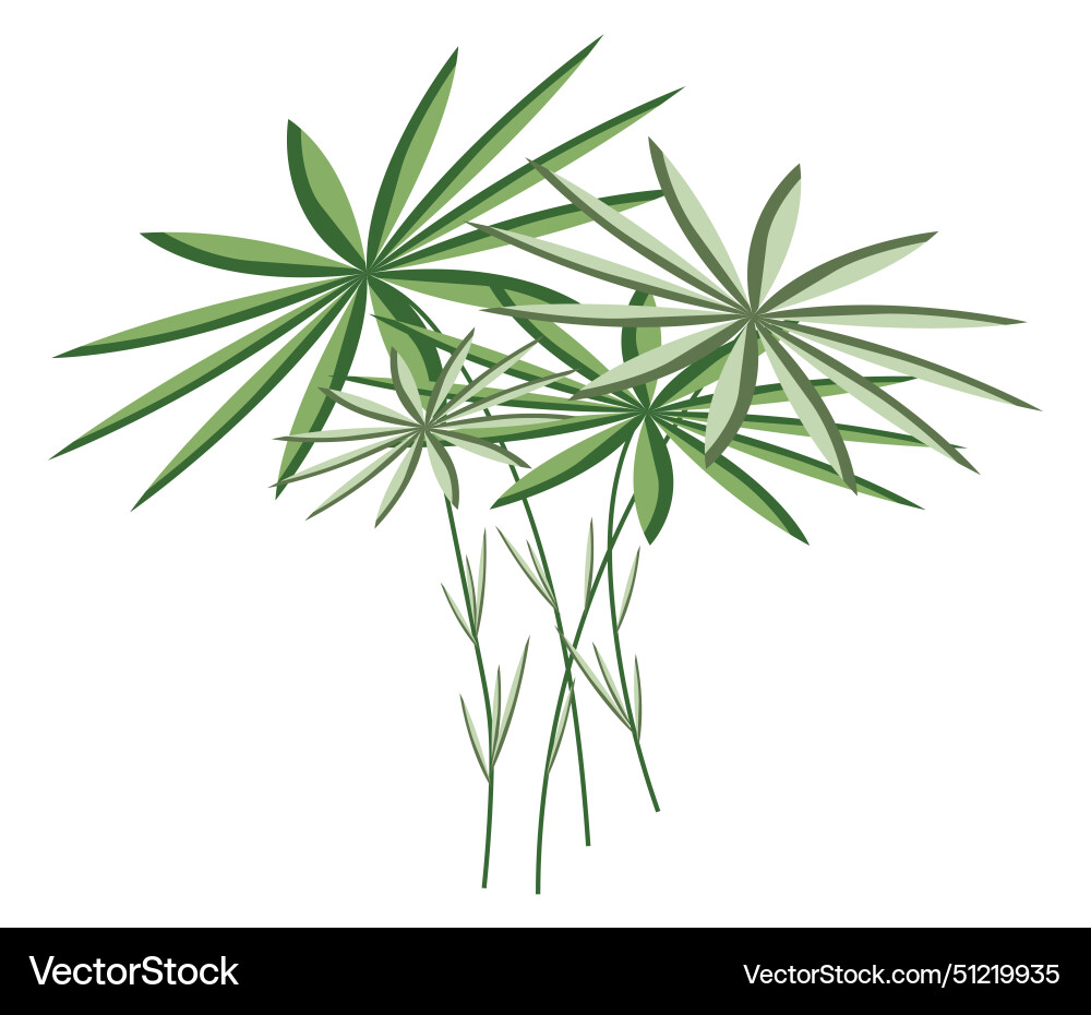 Abstract tropical plant with leaves in flat design