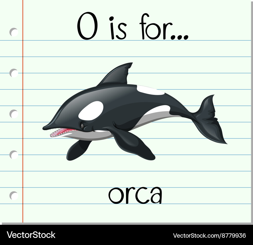 Flashcard letter o is for orca Royalty Free Vector Image