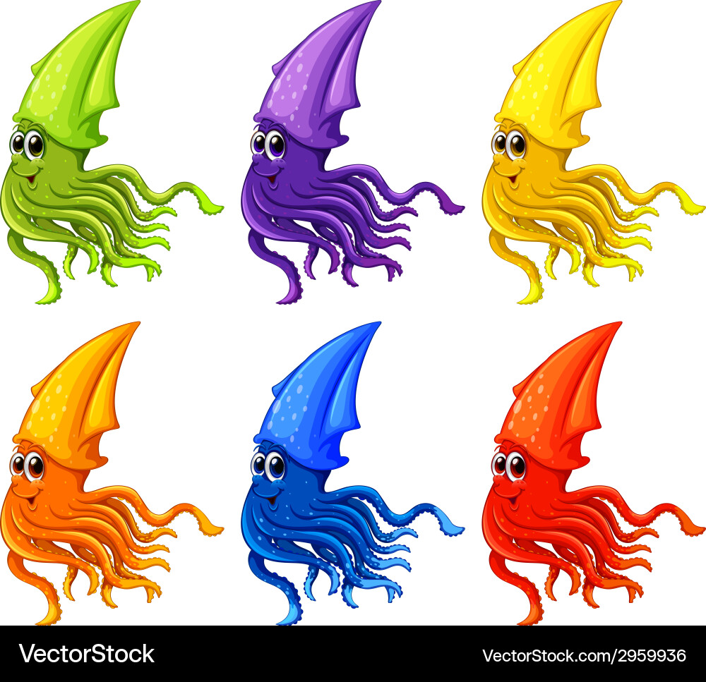 Squid Royalty Free Vector Image - VectorStock