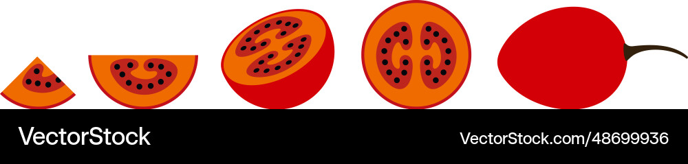 Tamarillo Royalty Free Vector Image - VectorStock