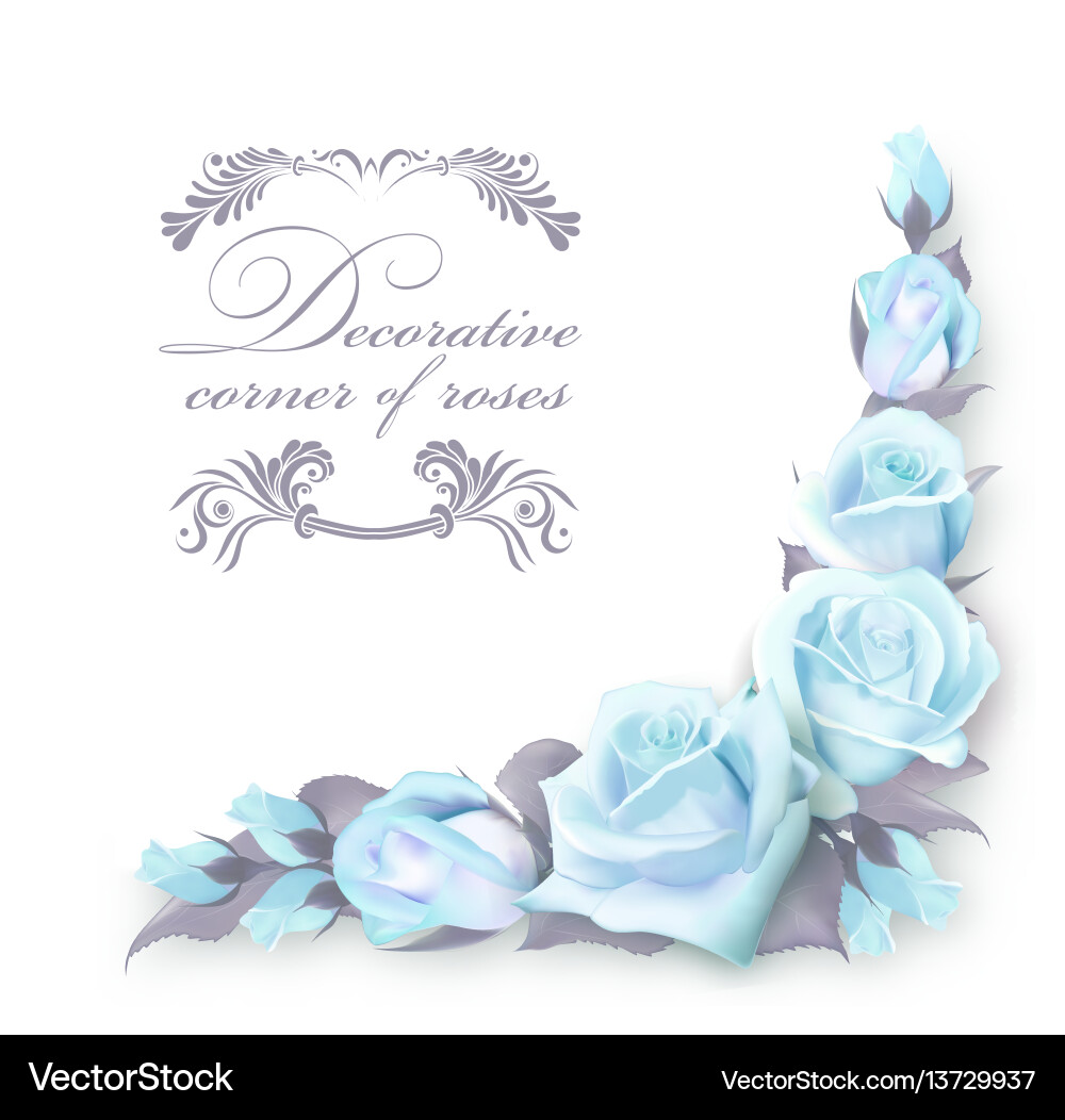 Blue Rose Border