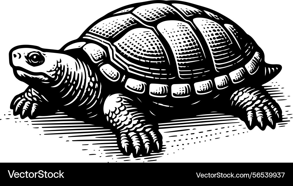 Einfache gopher tortoise side view icon vintage Vektorbild