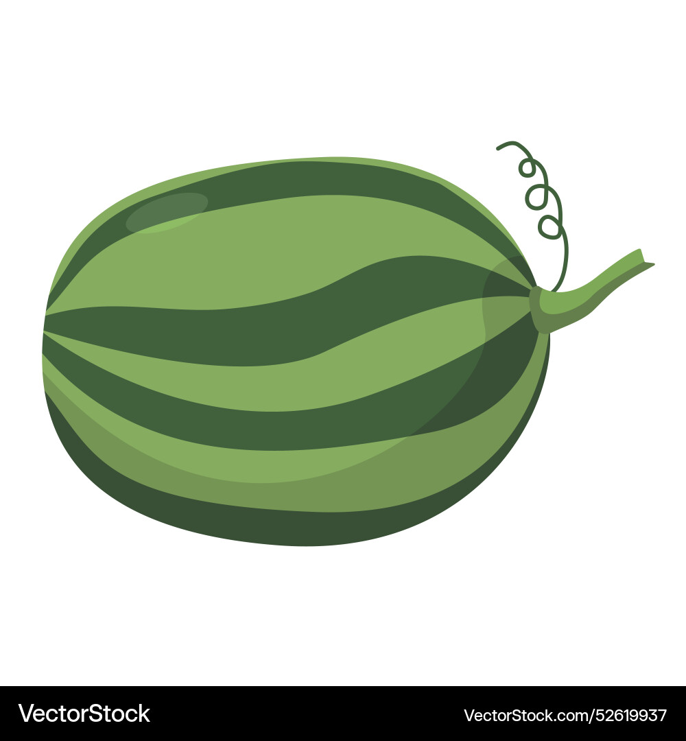 Whole watermelon cartoon Royalty Free Vector Image