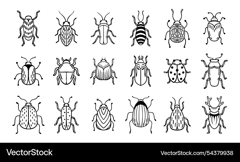 Garden bugs hand drawn outline doodle icon set Vector Image