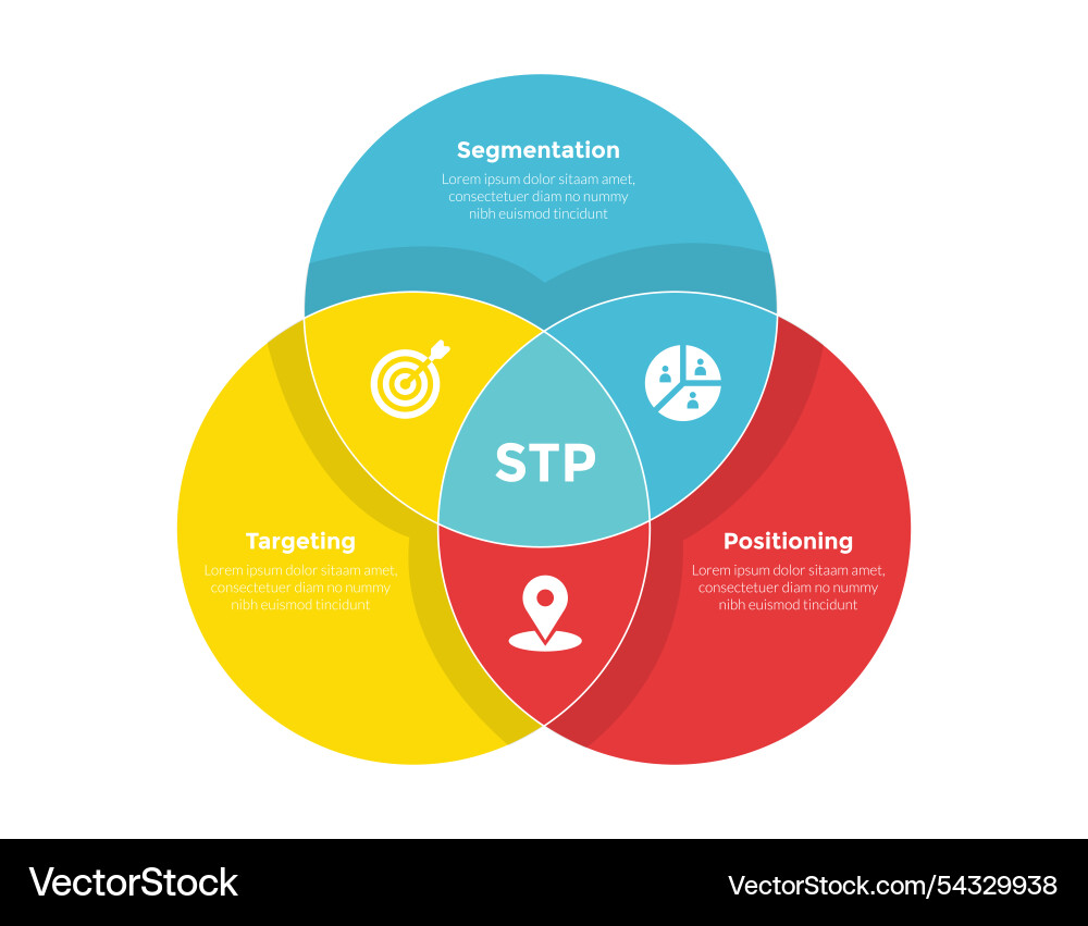 Stp marketing analysis infographics template Vector Image