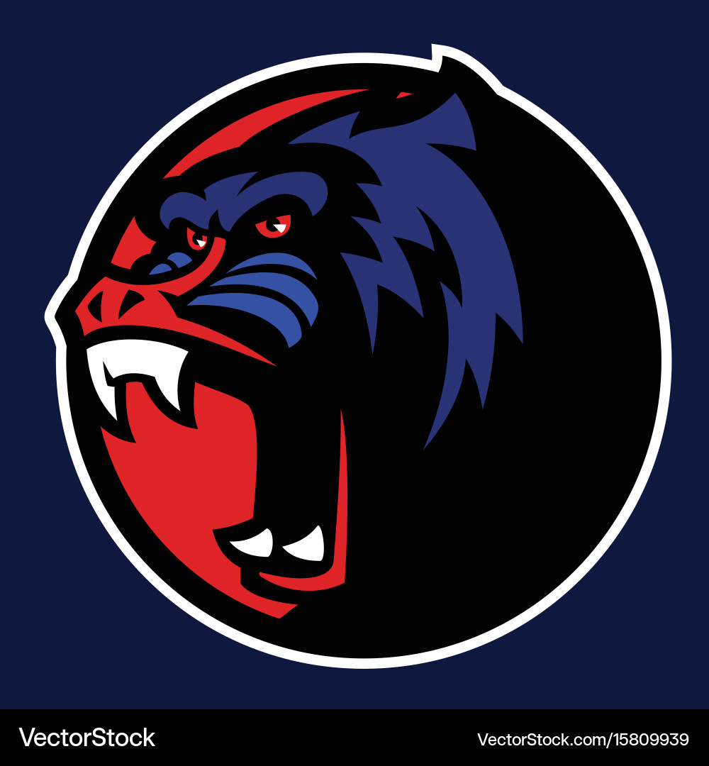 Angry mandrill monkey Royalty Free Vector Image