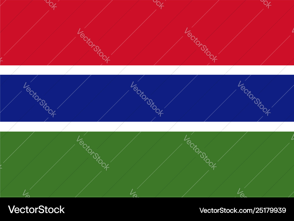 Flag rectangular shape Royalty Free Vector Image