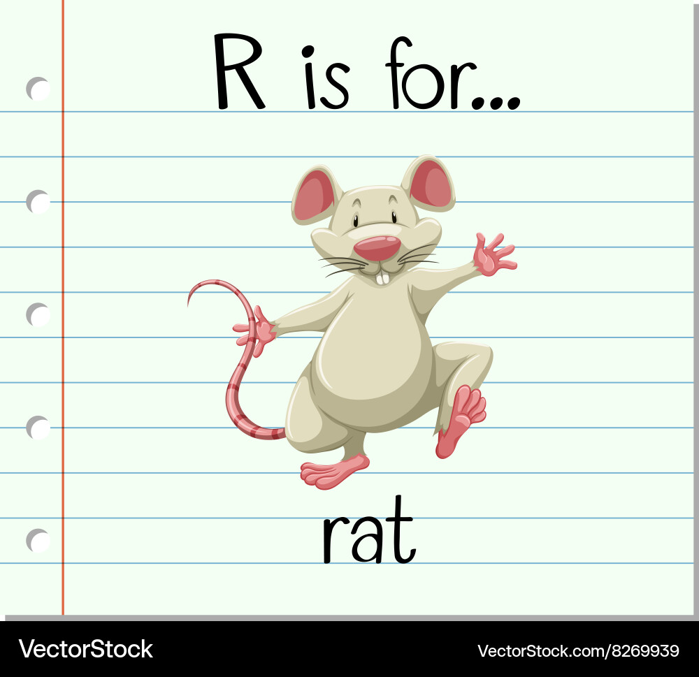 Flashcard letter r is for rat Royalty Free Vector Image