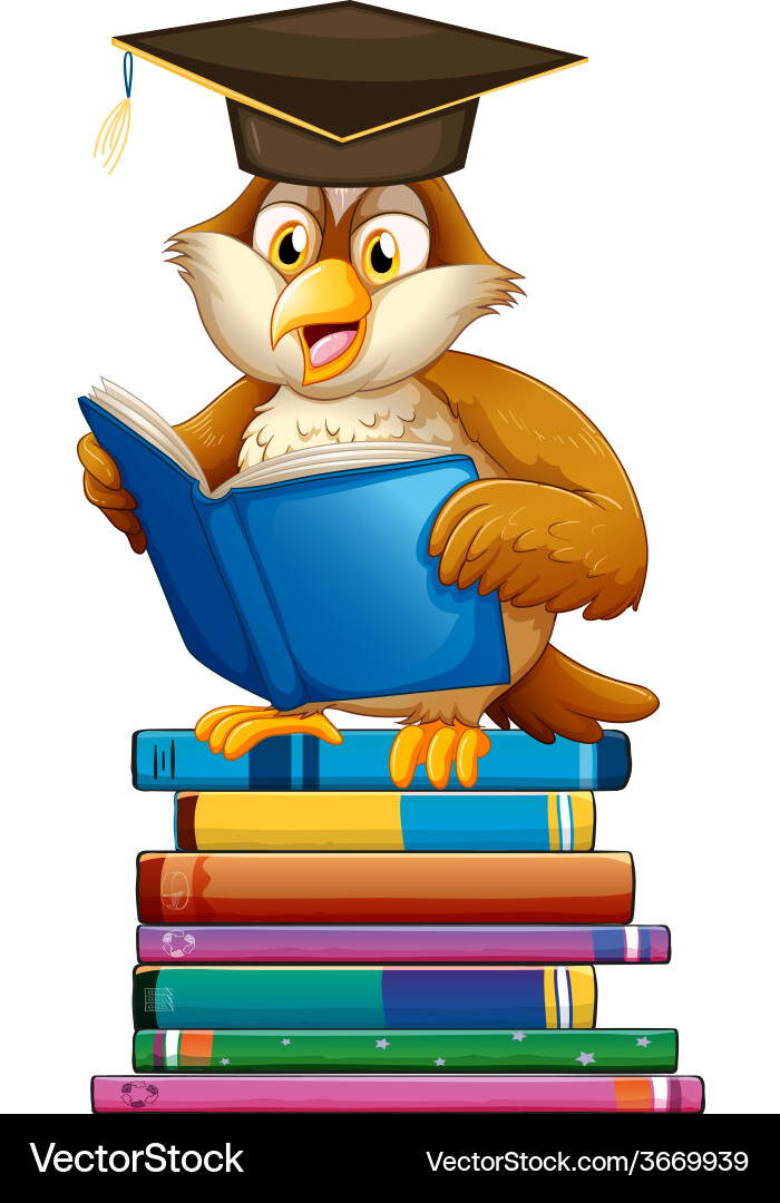 Owl Reading Books Royalty Free Vector Image - VectorStock
