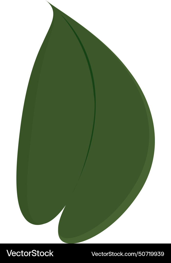 Tree leaf colored icon Royalty Free Vector Image