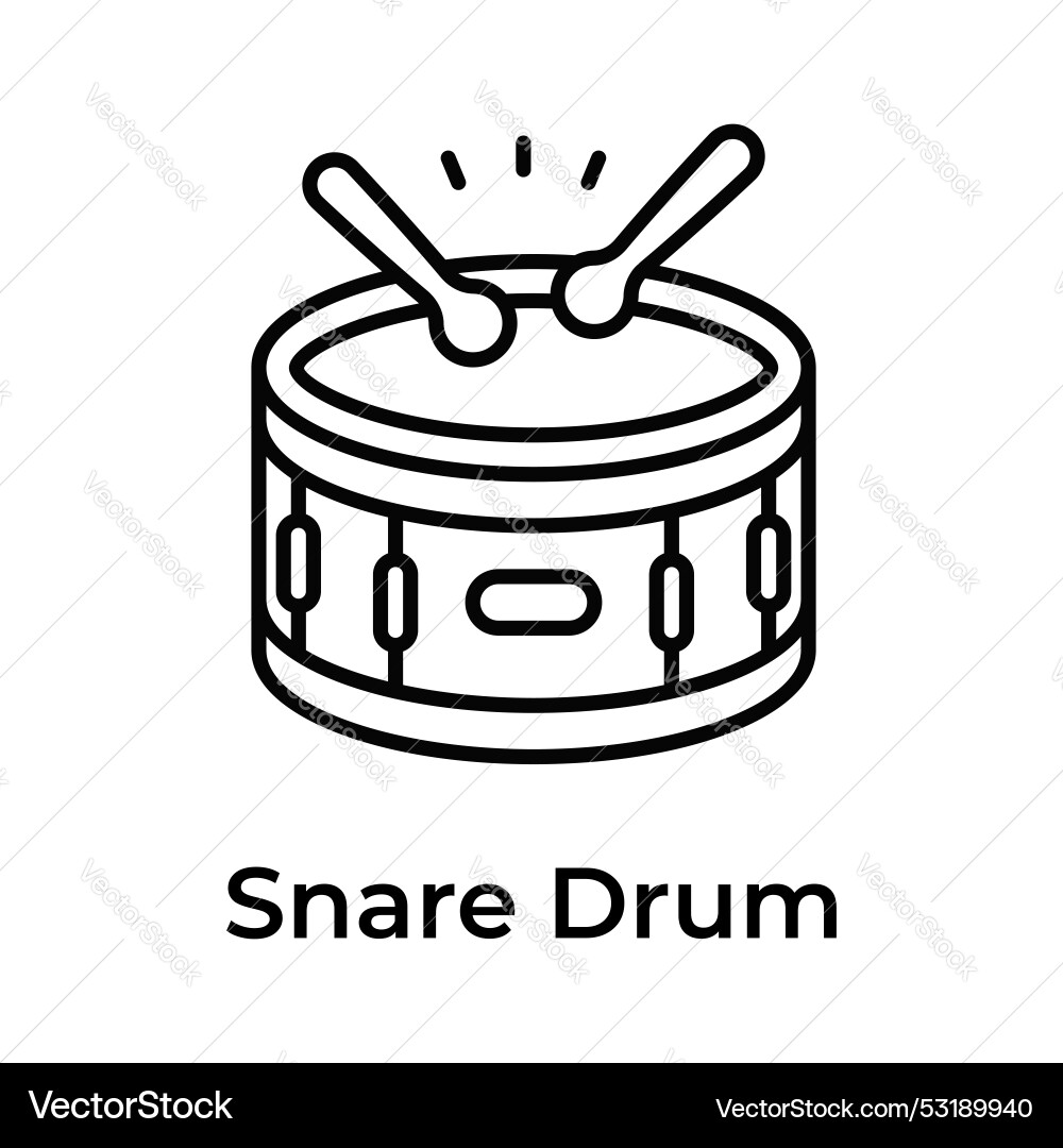 Snare drum Royalty Free Vector Image - VectorStock