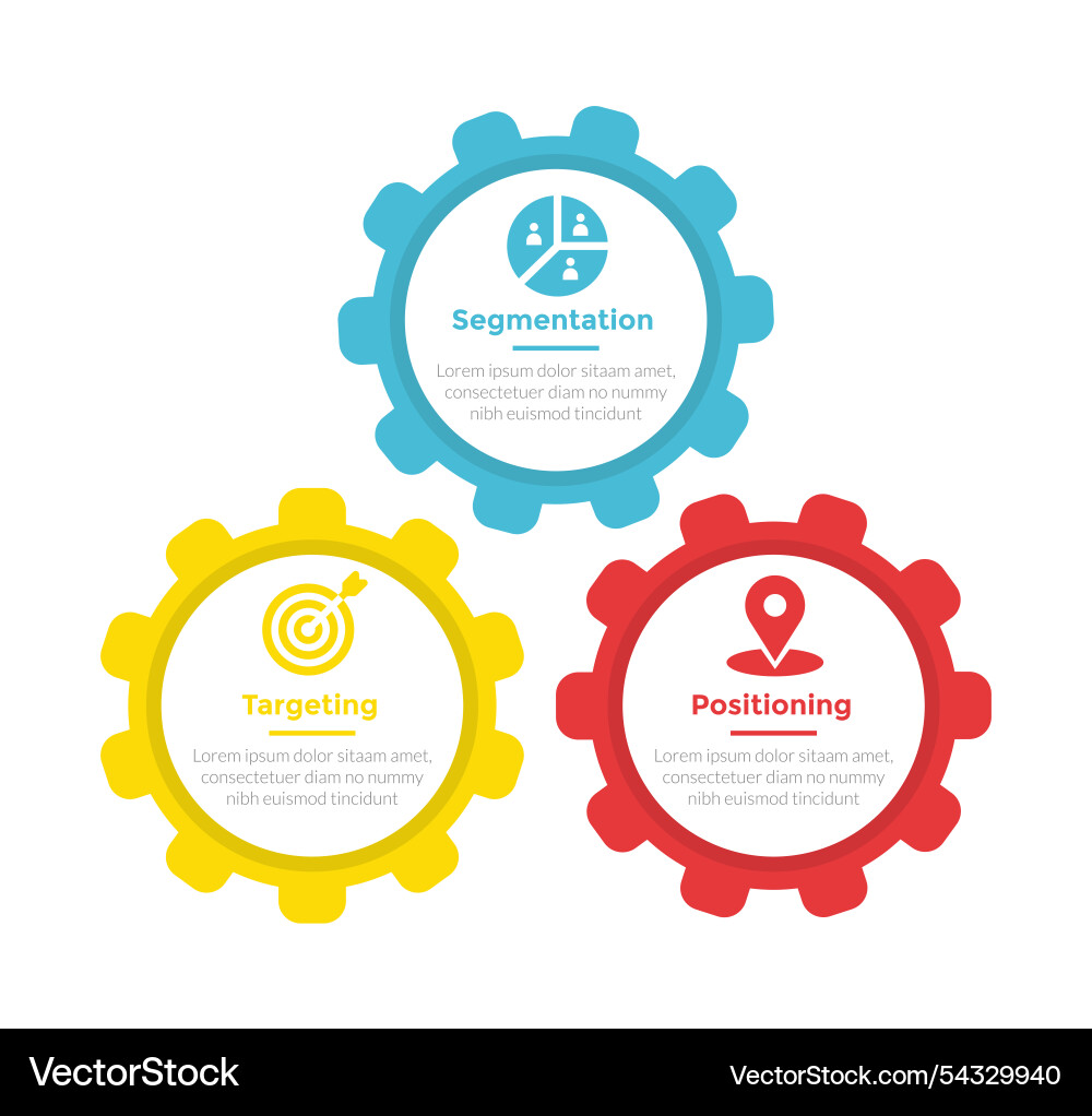Stp marketing analysis infographics template Vector Image
