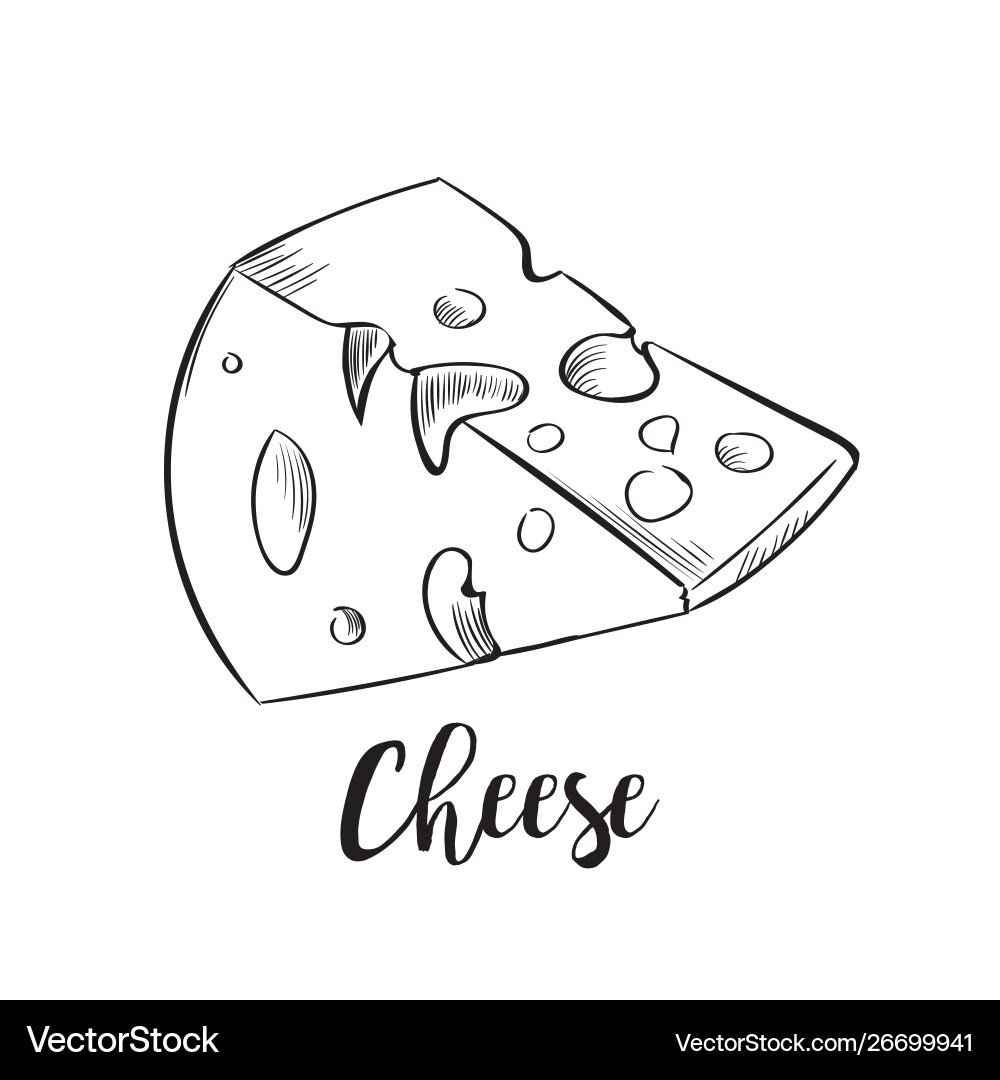 Cheese line art handdrawn Royalty Free Vector Image