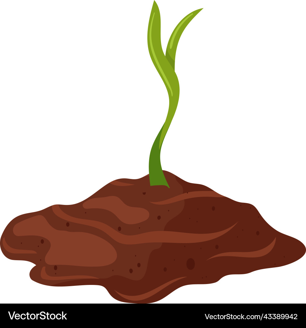 Plant growth cartoon Royalty Free Vector Image
