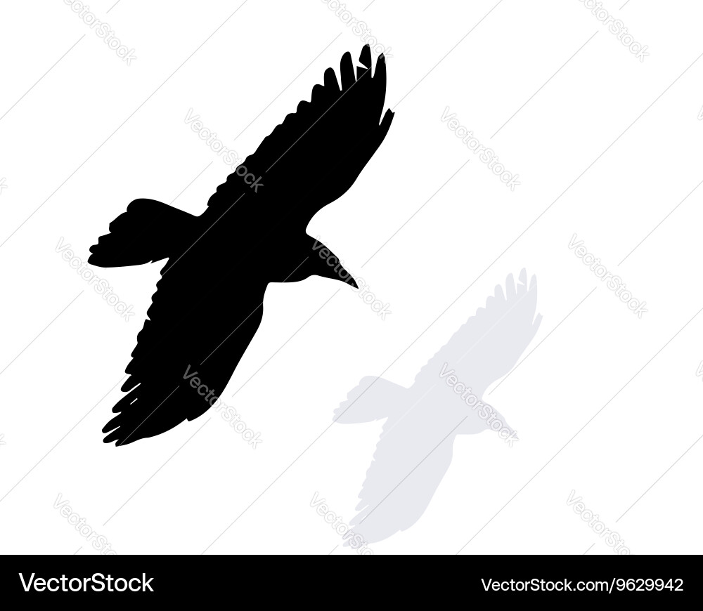 Rook Royalty Free Vector Image - VectorStock
