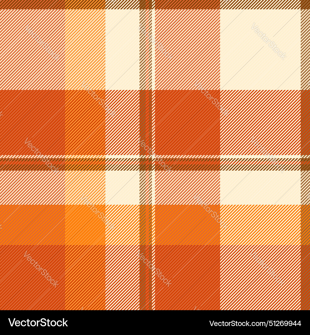 Seamless fabric of texture check background Vector Image