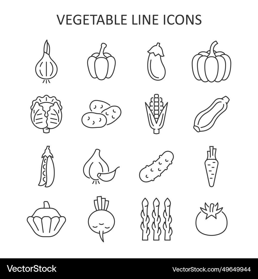 Vegetable line icon set salad ingredient symbol Vector Image