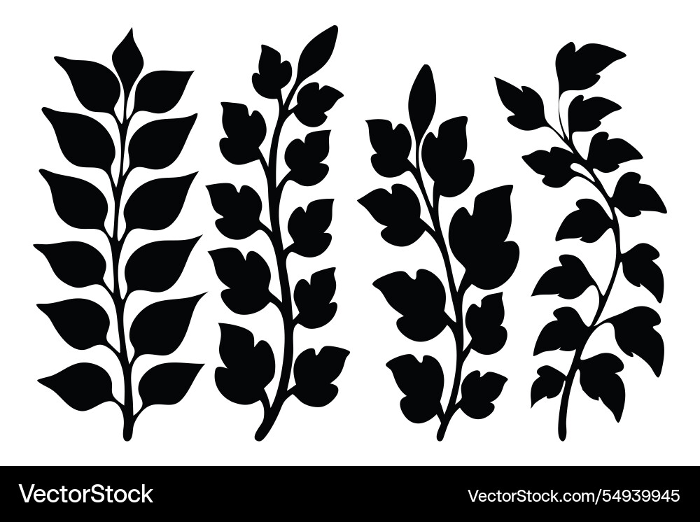 Decorative pothos leaves silhouettes set isolated Vector Image
