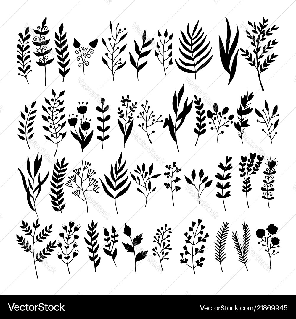 Floral elements in doodle style Royalty Free Vector Image