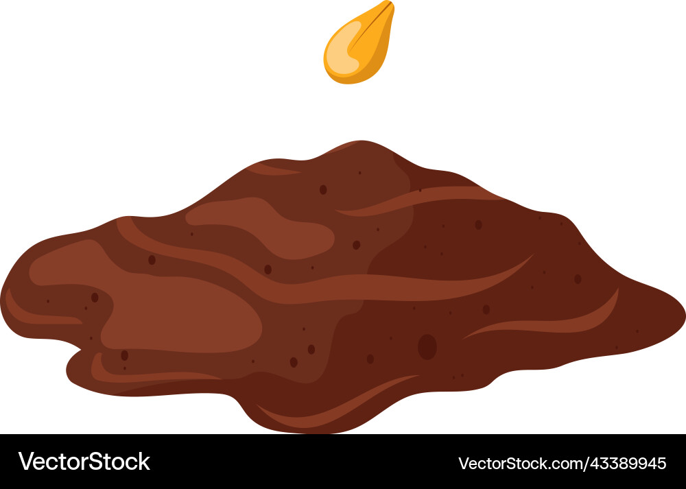 Seed cartoon Royalty Free Vector Image - VectorStock