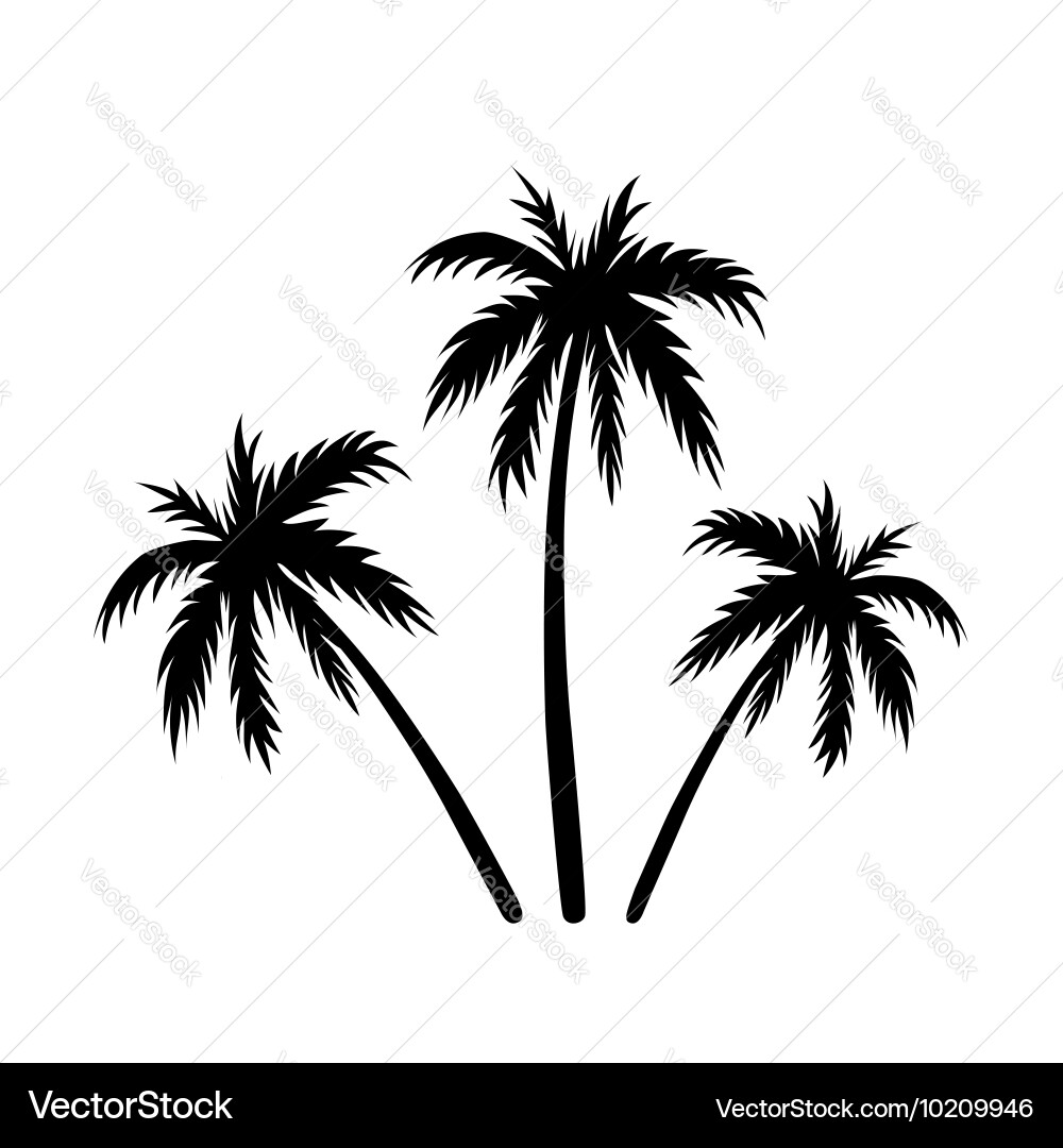 Three palms sketch Royalty Free Vector Image - VectorStock