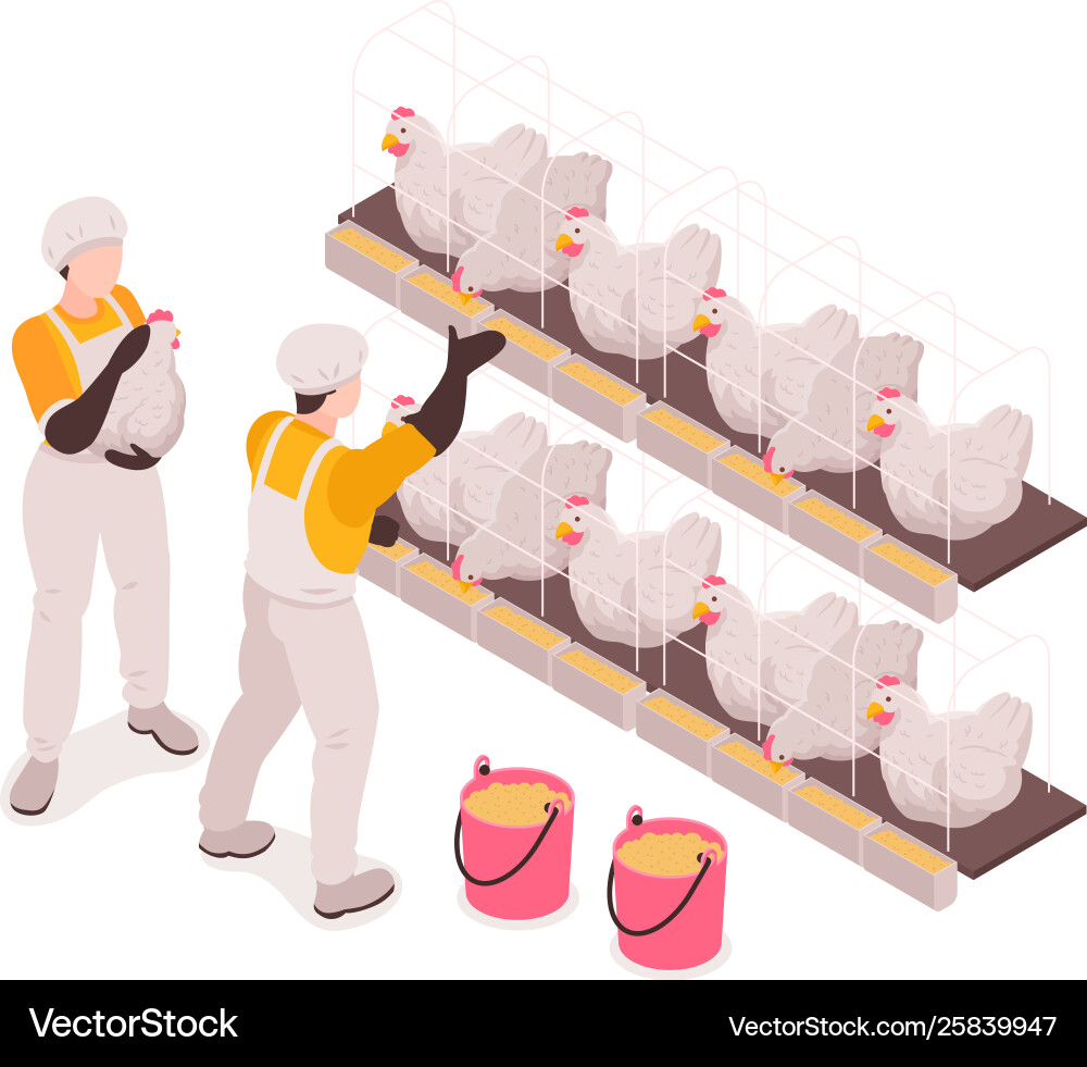Poultry farm isometric composition Royalty Free Vector Image