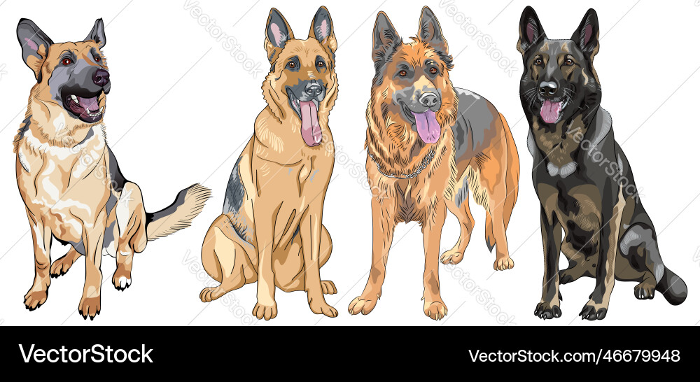 German Shepherd Dog Collection Royalty Free Vector Image