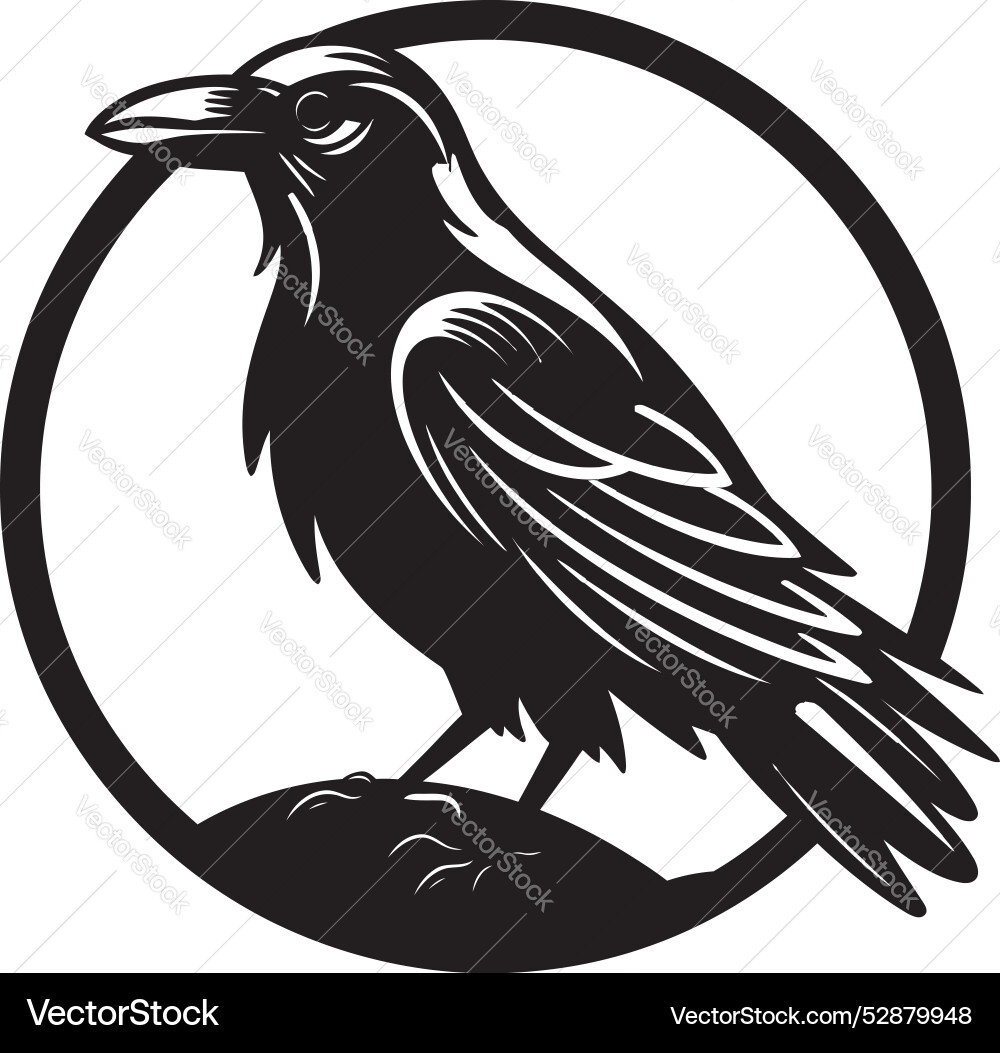 Graceful black raven symbolism silhouette Vector Image